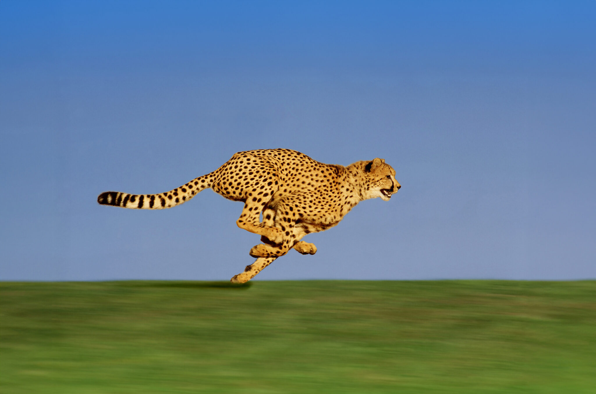 Case Studies - SEC Disclosures Research - Intelligize